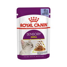 Royal Canin Sensory Smell Jelly Katzen-Nassfutter zur Anregung des Geruchssinns 12x85g