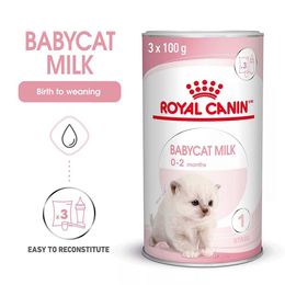 Royal Canin BABYCAT MILK Aufzuchtmilch f&uuml;r Kitten 300g