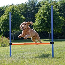 Trixie Dog Activity Agility H&uuml;rde