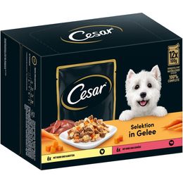 CESAR Selektion Gelee Huhn, Rind, Gem&uuml;se 72x100g