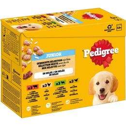 Pedigree Junior Gemischte Selektion in Gelee Hunde-Nassfutter für Junghunde 24x100 g