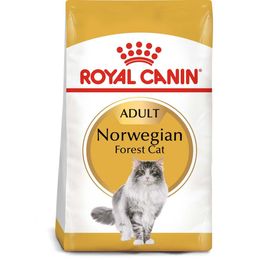 Royal Canin Norwegian Forest Cat Adult Katzen-Trockenfutter für Norwegische Waldkatzen 10kg