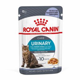 48x85g Royal Canin FCN Urinary Care Jelly