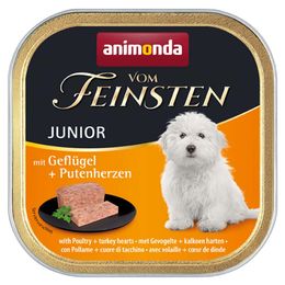 animonda vom Feinsten Junior Geflügel und Putenherzen Hunde-Nassfutter getreidefrei 22x150g