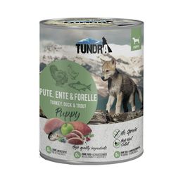 Tundra Dog Puppy Pute, Ente und Forelle Hunde-Nassfutter ohne Getreidezusatz 6x800g