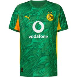 Puma Borussia Dortmund 25-26 Torwart Teamtrikot Herren - Gr&ouml;&szlig;e M - gr&uuml;n