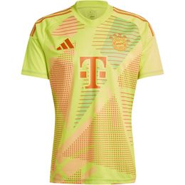 Adidas FC Bayern M&uuml;nchen 24-25 Heim Teamtrikot Herren - Gr&ouml;&szlig;e M - gelb