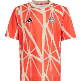Adidas FC Bayern M&uuml;nchen Prematch Funktionsshirt Kinder - Gr&ouml;&szlig;e 164 - rot