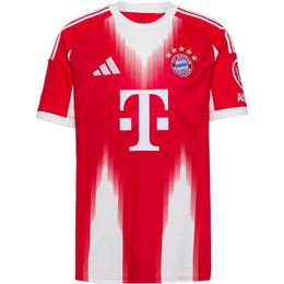 Adidas FC Bayern M&uuml;nchen 25-26 Heim Teamtrikot Herren - Gr&ouml;&szlig;e XL - rot