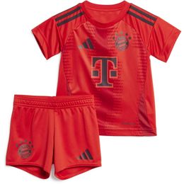 Adidas FC Bayern M&uuml;nchen 24-25 Heim Teamtrikot Kinder - Gr&ouml;&szlig;e 74 - rot