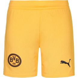 Puma Borussia Dortmund 25-26 Heim Shorts Kinder - Gr&ouml;&szlig;e 140 - gelb