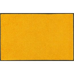 Fu&szlig;matte "Trend Uni, Schmutzfangmatte, waschbar" Gr. 18, gold (goldfarben), B:75cm H:7mm L:120cm, Kunstfaser, wash+dry by Kleen-Tex, Teppiche, Fu&szlig;matte, rutschhemmend, In- und Outdoor geeignet, auch als L&auml;ufer erh&auml;ltlich