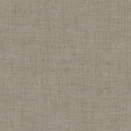 Vliestapete SUPERFRESCO EASY "SUPERFRESCO EASY Vliestapete PARADISE Uni Taupe", braun, B:0,52m L:10,05m, Vlies, Tapeten, SUPERFRESCO EASY Vliestapete PARADISE Uni Taupe
