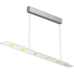 Evotec LED Pendelleuchte "SUN LED", Energieeffizienz: E (A-G), weiß (edelstahlfarben, weiß), 6, 1 Stk., Leuchten, LED Hängelampe, LED Hängeleuchte, dimmbar