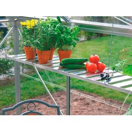 Wandregal Vitavia, silber (silberfarben), B:120cm T:31cm, Aluminium, Regale, Wandregal, Alu, BxT: 120x31 cm