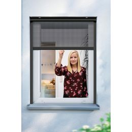 Insektenschutzrollo Schellenberg "für Fenster, Fiberglas Fliegengitter mit Aluminium Rahmen", grau (anthrazit), B:100cm H:160cm, Fiberglas, Rollos, in verschiedenen Farben und Größen erhältlich