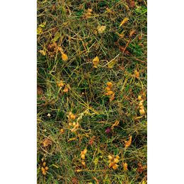 Vliestapete Komar "Digitaldruck Vlies - Bergheu - Gr&ouml;&szlig;e 150 x 250 cm", bunt, B:150m L:250m, Vlies, Tapeten, Wohnzimmer, Schlafzimmer