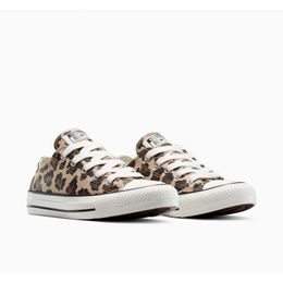 Sneaker Converse "CHUCK TAYLOR ALL STAR", Jungen, Gr. 37, warm quarry, vintage wei&szlig;, schwarz, Textil, Schuhe Sneaker