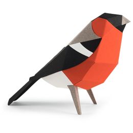 3D Papiermodell Vögel Pyrrhula