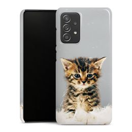 DeinDesign Galaxy A52s 5G Handy Premium Case Smartphone Handyh&uuml;lle Schutzh&uuml;lle gl&auml;nzend Cat Pet Feather Premium Case