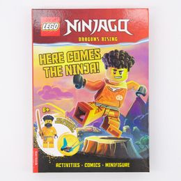 LEGO NINJAGO: Here Comes the Ninja!