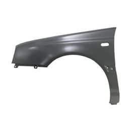 BLIC Kotfl&uuml;gel vorne links f&uuml;r VW AUDI 1H0821105C 1H0821105B 6504-04-9542313P