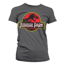 Jurassic Park Shirt in Grau | Gr.: XL
