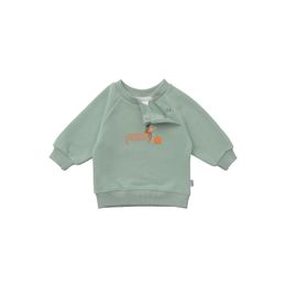 Sweatshirt Liliput "Dackel", M&auml;dchen, Gr. 110/116, gr&uuml;n, 80% Baumwolle, 20% Polyester, bedruckt, normal, Rundhals, Sweatshirts Sweatshirt, mit niedlichem Dackel-Print