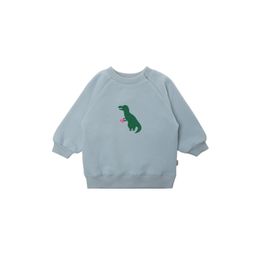 Sweatshirt Liliput "Dino", Mädchen, Gr. 110/116, blau (hellblau), 80% Baumwolle, 20% Polyester, bedruckt, normal, Rundhals, Sweatshirts, mit niedlichem Dino-Print