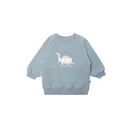 Sweatshirt Liliput "Dino Rawr", M&auml;dchen, Gr. 98/104, blau (hellblau), 80% Baumwolle, 20% Polyester, bedruckt, normal, Rundhals, Sweatshirts Sweatshirt, mit niedlichem Dino-Print
