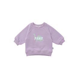 Sweatshirt Liliput "Dino Rawr", M&auml;dchen, Gr. 74/80, lila (flieder), 80% Baumwolle, 20% Polyester, bedruckt, normal, Rundhals, Sweatshirts Sweatshirt, mit angenehmem Rundhalsausschnitt