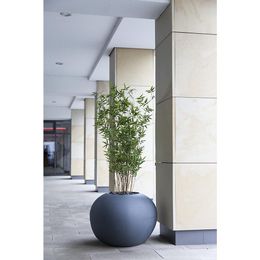 DEGARDO Pflanzbeh&auml;lter, STORUS IV, HxBxT 490 x 750 x 690 mm, granit anthrazit