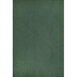Teppich OTTO HOME, B:120cm H:8mm L:160cm, gr&uuml;n, Polyester, Wohnzimmer, Teppiche, "Sveaa", mit Anti-Rutsch-R&uuml;cken und 3D-Optik