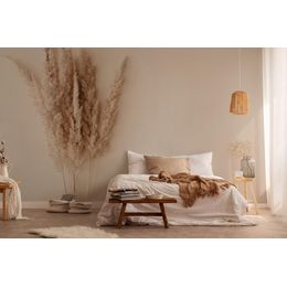 A.S. Cr&eacute;ation Vliestapete A.S. CR&Eacute;ATION "Pampasgras-Tapete Beige Natur Fototapete Boho Stil", beige, B:2,5m H:0,02m L:3,75m, Vlies, Tapeten