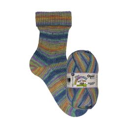 Sockenwolle Feine Merinowolle Edition II 4-fach von Opal, Warm, aus Schurwolle