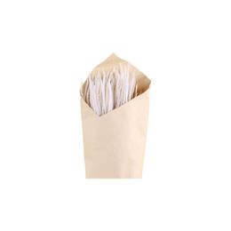 Chic Antique Fleur getrocknetes Pampasgras Phleum skandinavische Deko Online Shop