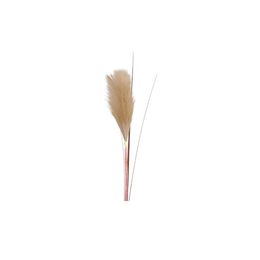 Chic Antique Fleur Pampasgras Wedel skandinavische Deko Online Shop