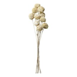 Chic Antique Fleur getrocknete Blumen im Strau&szlig; skandinavische Deko Online Shop