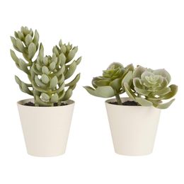 IB Laursen K&uuml;nstliche Sukkulente 2er Set im Topf Sedum und Echeverie skandinavische Deko Online Shop