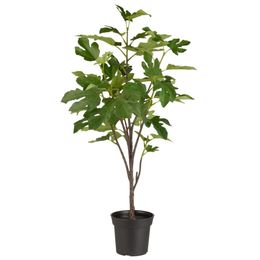 IB Laursen K&uuml;nstlicher Feigenbaum in Topf 80 cm, &Oslash; 35 cm skandinavische Deko Online Shop