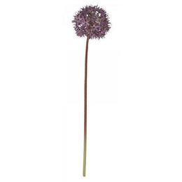 Chic Antique Fleur Allium skandinavische Deko Online Shop