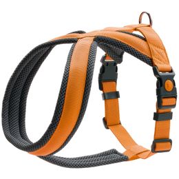 Hunter Geschirr London Comfort orange / L/1