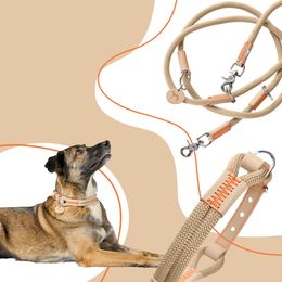 Hunter MALIA Set Halsband & Leine | beige 50 / 8/200