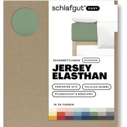 Spannbettlaken Schlafgut "EASY Jersey Elasthan Boxspring", gr&uuml;n (gr&uuml;n mid), 1 Stk., Jersey, 90-100x200-220 40, Jersey, Obermaterial: 95% Baumwolle, 5% Elasthan, Bettlaken, Spannbettlaken, MADE IN GREEN by OEKO-TEX