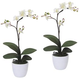 Kunstpflanze Creativ green "Orchidee Phalaenopsis", weiß, H:55cm, Kunststoff, Polyester, Kunstpflanzen, im Keramiktopf