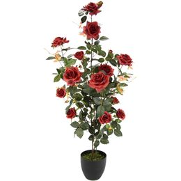 Kunstbaum I.GE.A. "Rosenbusch im Topf", rot, B:45cm H:115cm L:45cm, Obermaterial: 95% Polyester, 5% Kunststoff, Kunstpflanzen, Kunstrosen Kunstpflanzen Rosenstrauch Deko Hochzeit