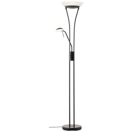 Brilliant Deckenfluter "Finn", schwarz, 1, H: 179cm, 1 Stk., Leuchten, Lesearm, Drehdimmer - 179cm H&ouml;he - 2500 Lumen, 3000 Kelvin, warmwei&szlig;, Deckenfluter