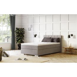 Boxspringbett COTTA "Simba", grau (elephant), L:209cm, Komplettbetten, Boxspringbett, Topseller wahlweise mit oder ohne Matratze und Topper bestellbar, Topseller