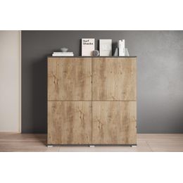 Highboard Inosign "Kenia, moderne grifflose Hochkommode mit 4 Türen, Breite 120 cm", grau (matera anthrazit, kastanie breslau), B:120cm H:125cm T:39,5cm, FSC-zertifizierter Holzwerkstoff, Sideboards, Push-to-Open-Fronten, höhenverstellbaren Einlegeböden