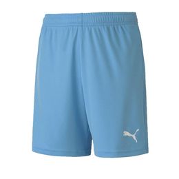 Puma Workout Pants 'TeamGOAL 23' Blue size 140